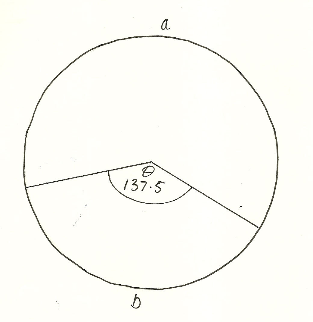 golden-ratio-perimeter-circle – Sunflower Seed Spirituality