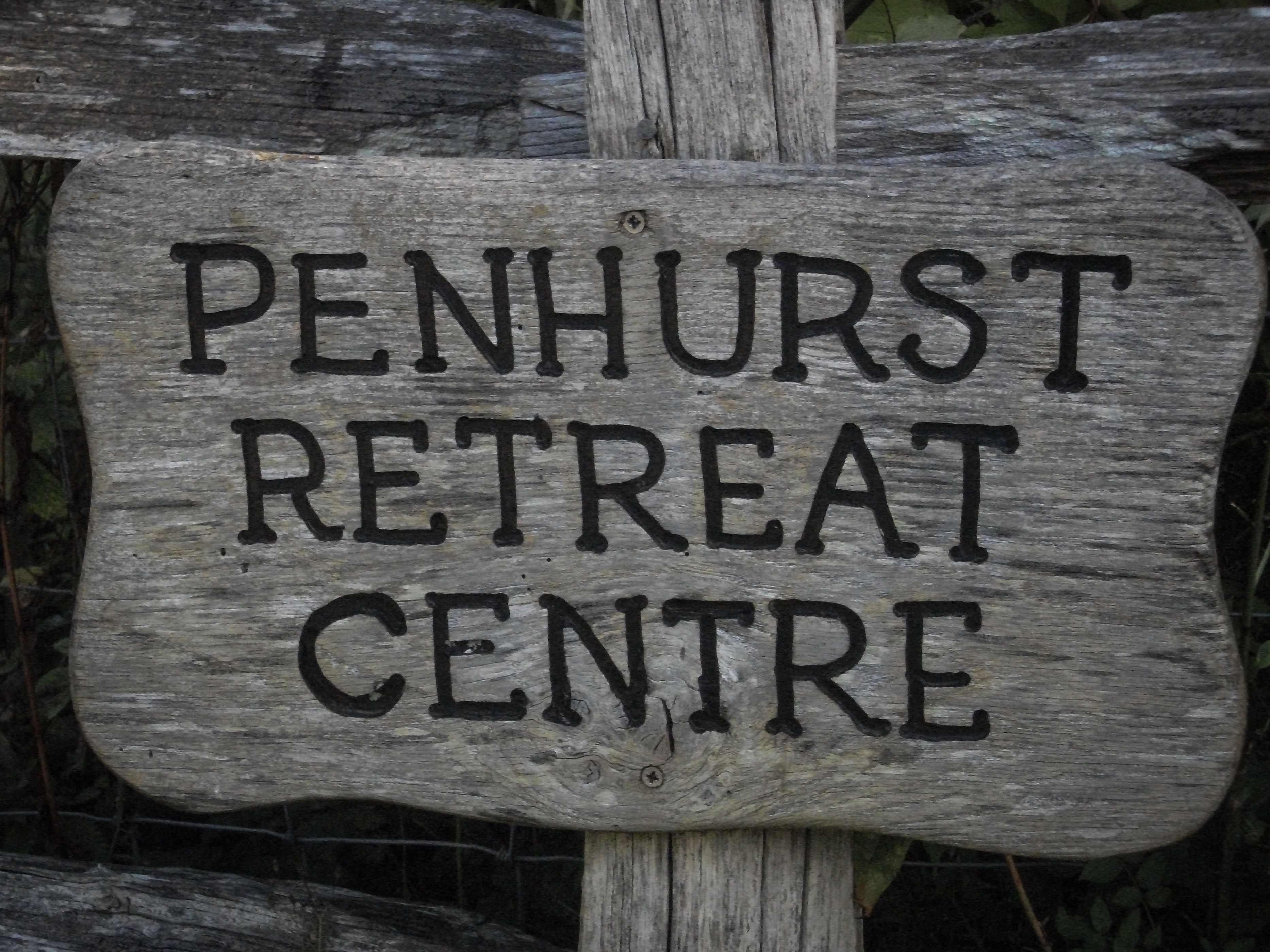 IGR: Individually Guided Retreat – Sunflower Seed Spirituality